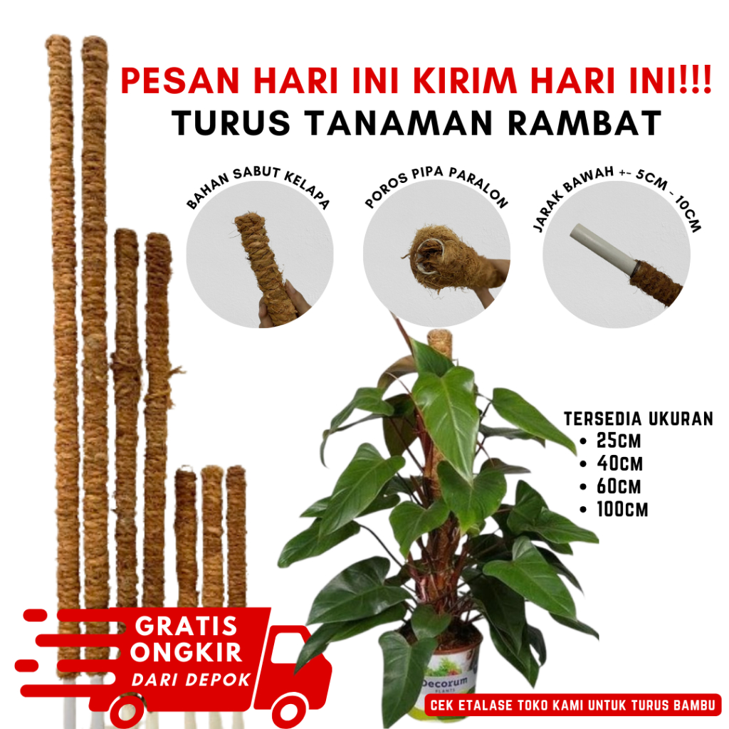 Jual Turus Sabut Kelapa Penyangga Tanaman Rambat 1 Meter 100cm ...