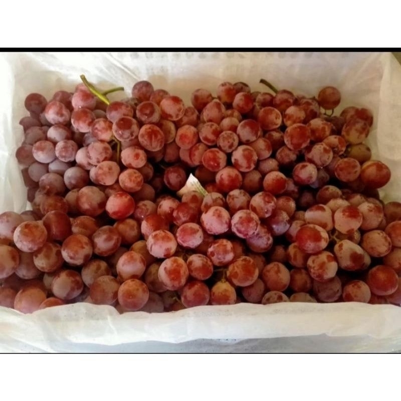 Jual Anggur 1kg | Shopee Indonesia