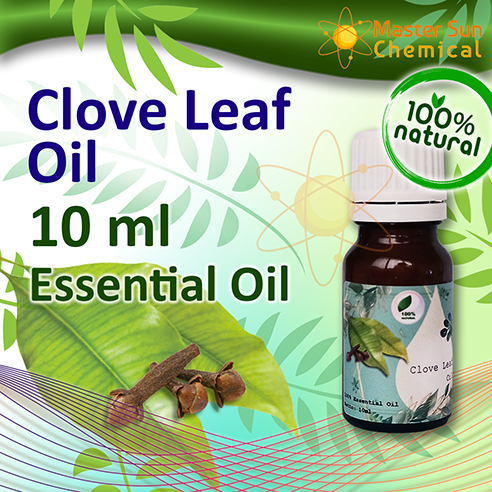 Jual Clove Leaf Essential Oil - Minyak Aromaterapi Daun Cengkeh Pure Essential Oil 10 Ml ...