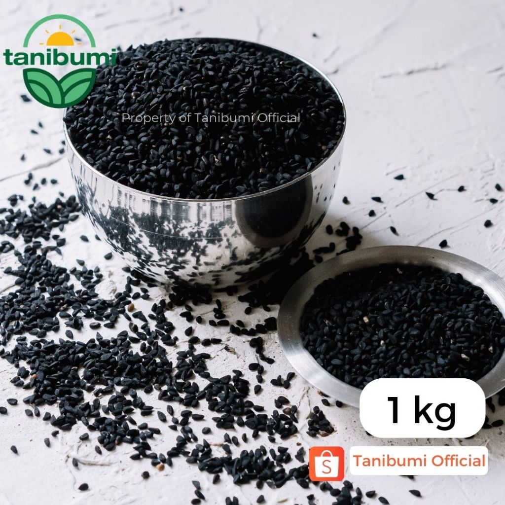 Jual 1Kg | Biji Jintan Hitam | Habbatussauda Jinten Premium | Kualitas ...