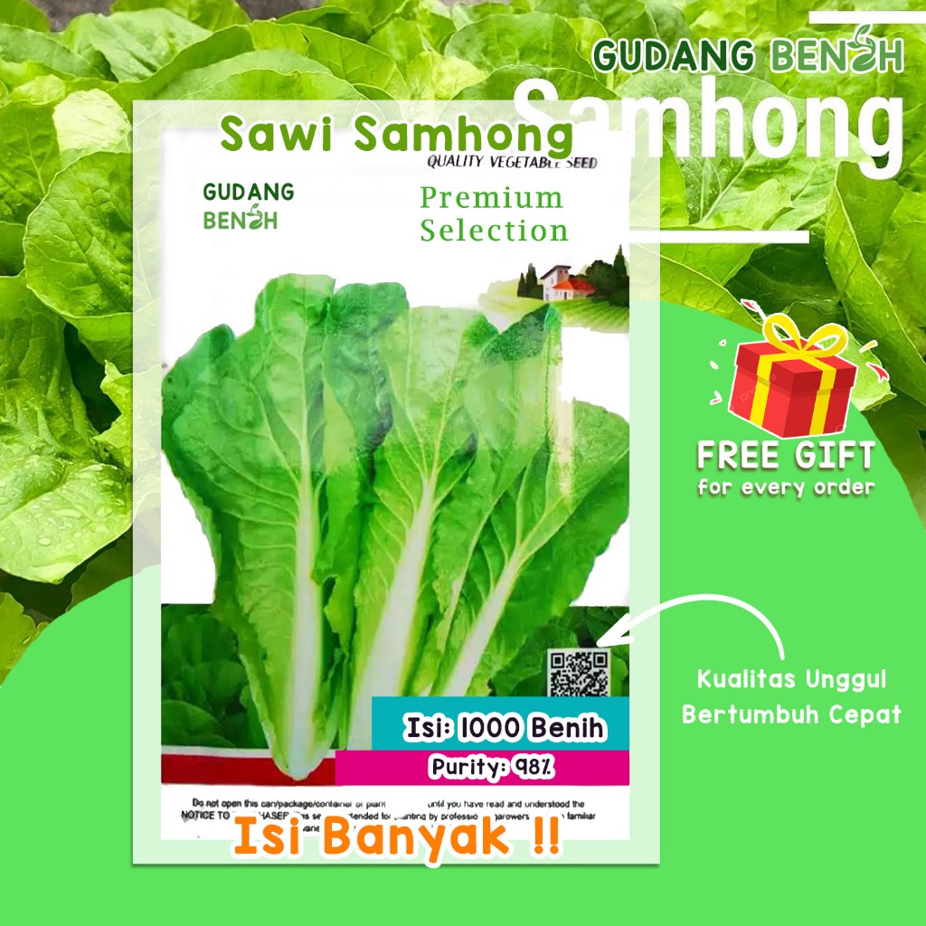 Jual Bibit Tanaman Sayuran Sawi Samhong Kualitas Unggul Isi 1000 Benih ...