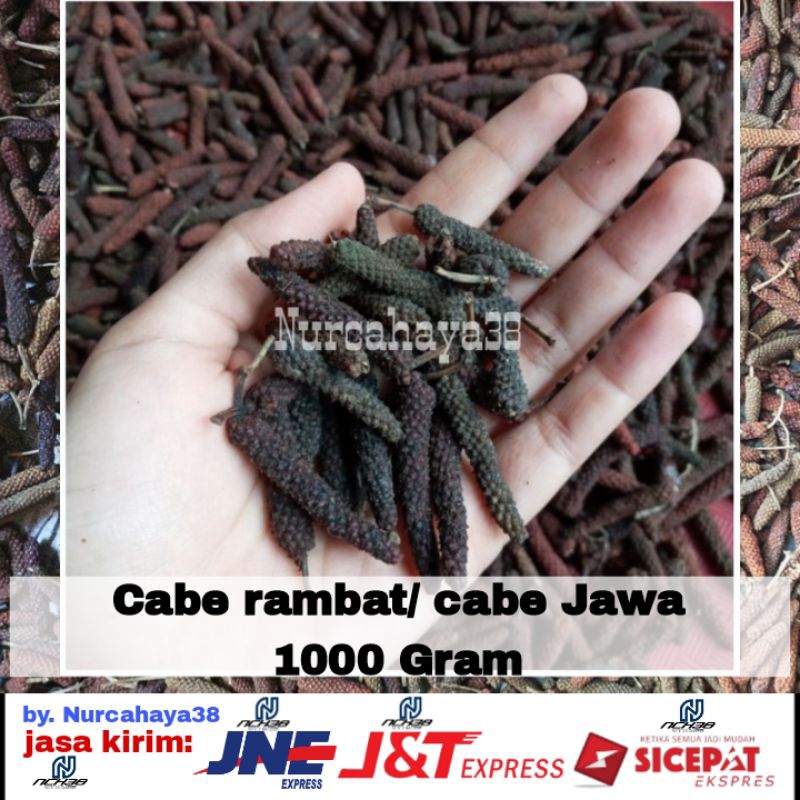 Jual Cabe Jawa | Cabe rambat | Cabe Berkualitas | 1 Kg | Shopee Indonesia