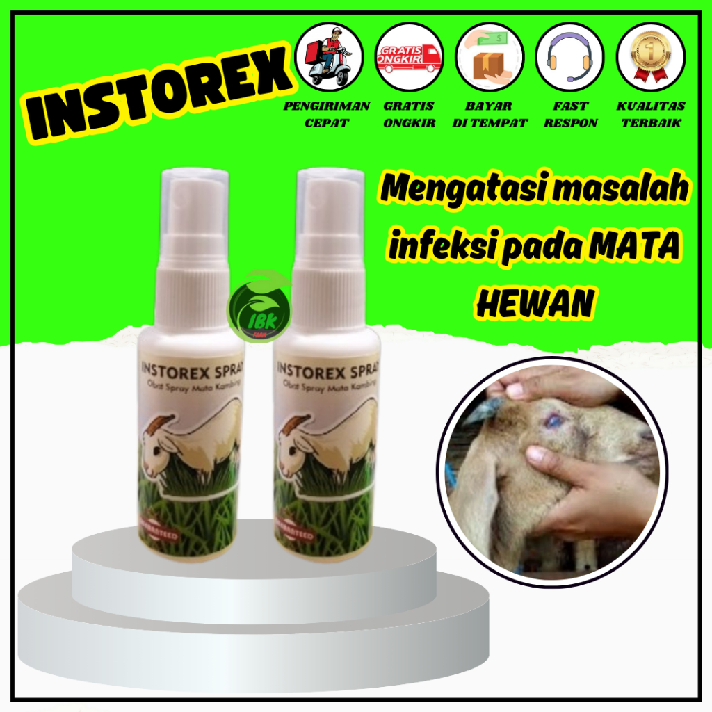 Jual Obat Mata Hewan Sapi dan Kambing Obat Mata Hewan Sapi dan Kambing ...