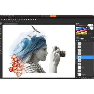 Jual Aplikasi Paintshop Pro 2024 Terbaru - Software Edit Foto dan ...