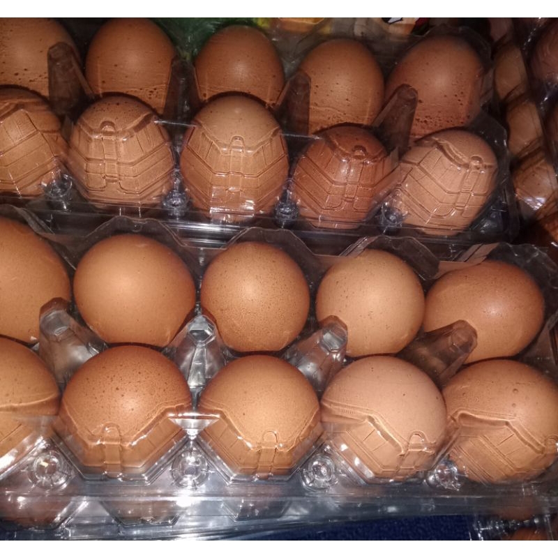 Jual telur ayam 1000gram(1kg) kemasan mika | Shopee Indonesia