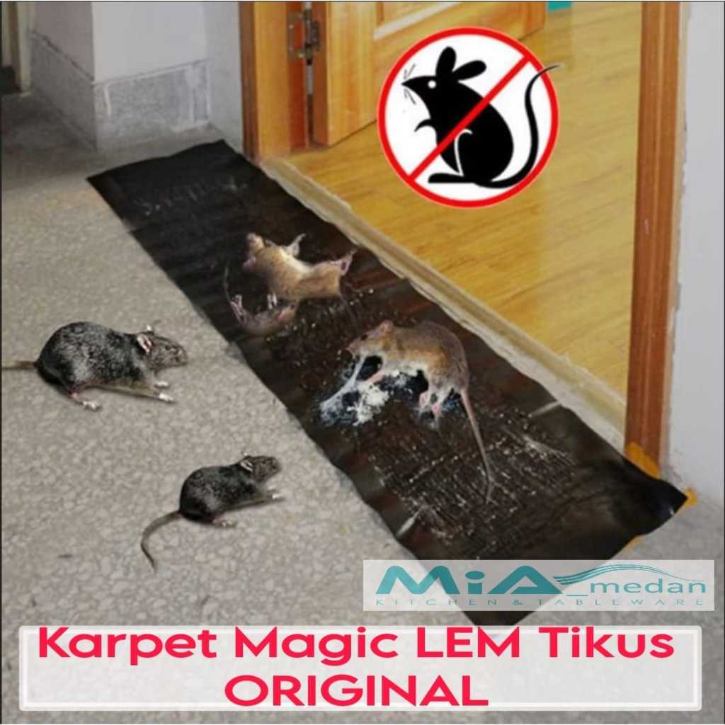 Jual MIA PERANGKAP TIKUS JEBAKAN LEM MAGIC TIKUS JUMBO 120 x 28cm ...