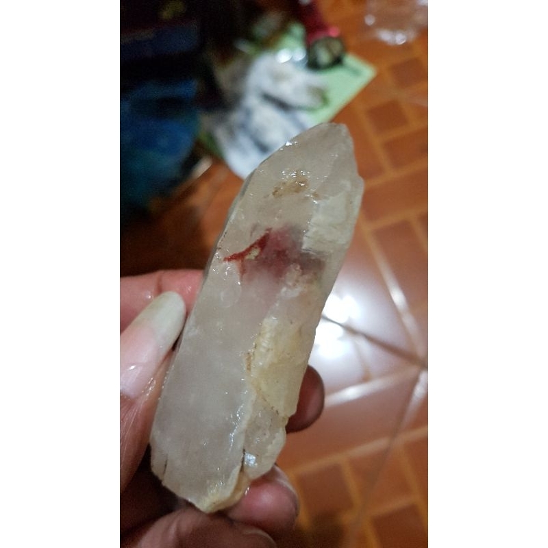 Jual Natural Kinyang Karang Bahan 2bh | Shopee Indonesia