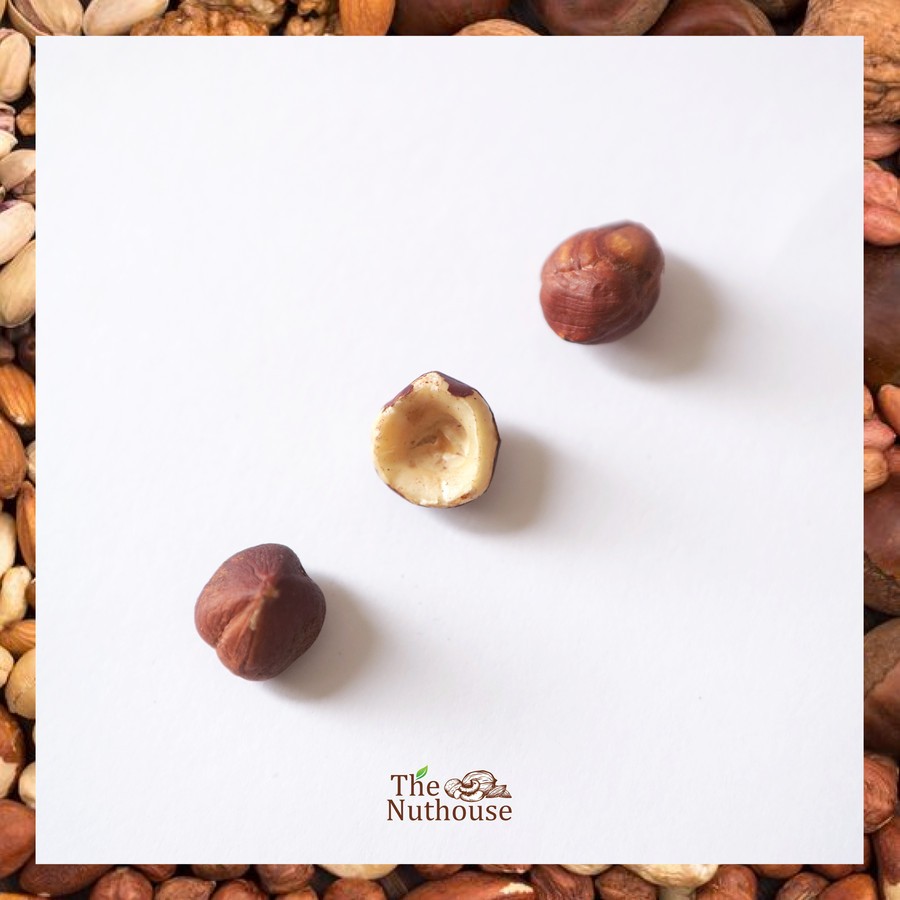 Jual 1kg RAW Hazelnut / Kacang Hazelnut Mentah - Natural with Skin ...