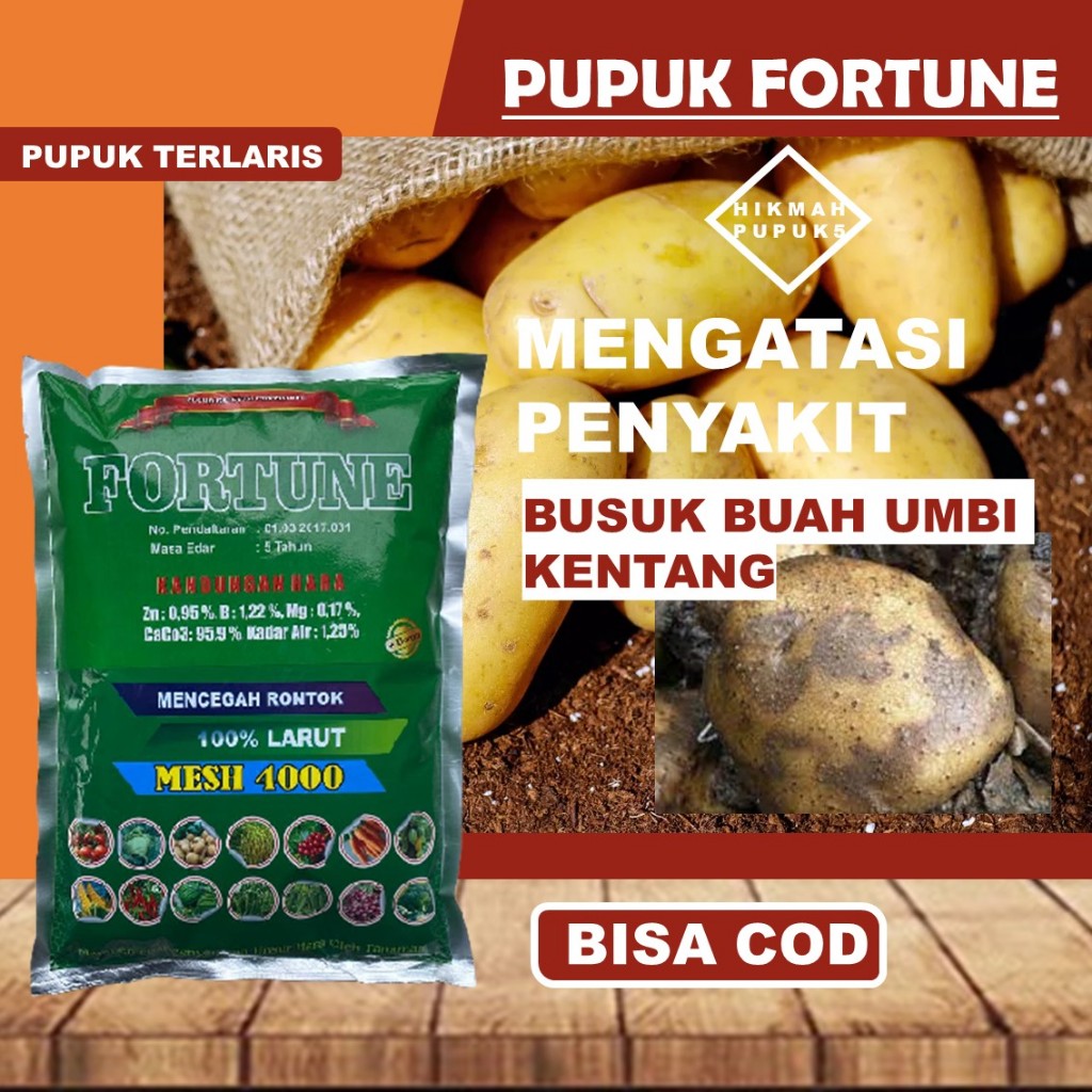 Jual Pupuk Fortune isi 1 kg Mengobati Kentang Mudah Rontok dan Berbuah ...