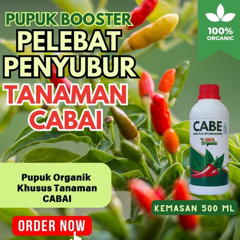 Jual pupuk pelebat buah | Pupuk Buah Sawit | pupuk pelebat Buah Cabai | Pupuk organik | Shopee ...