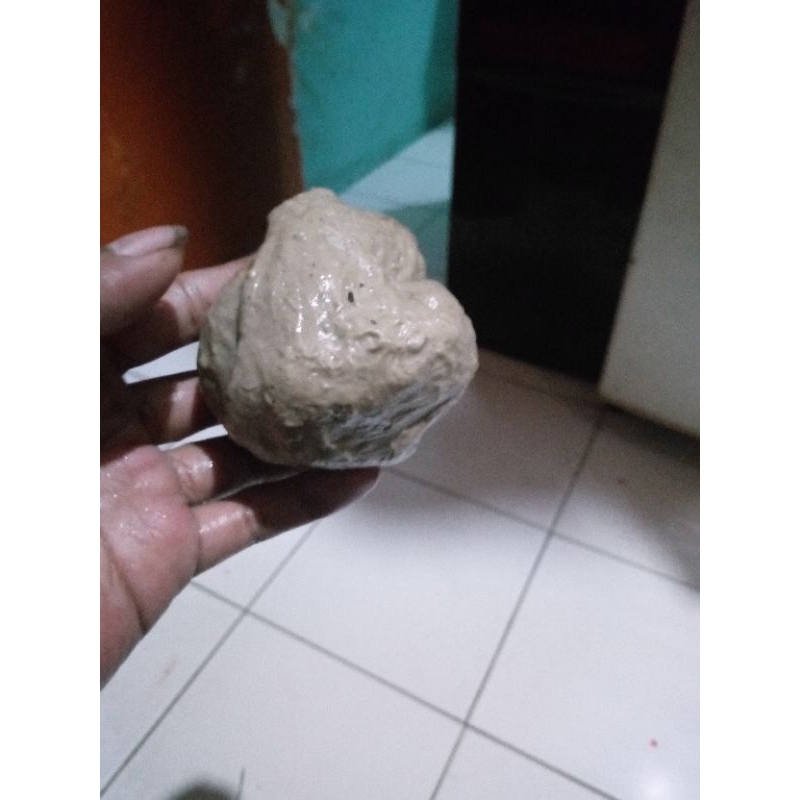 Jual lem pulut getah damar | Shopee Indonesia