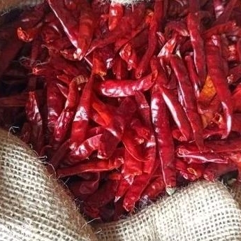Jual Cabai Kering / Cabe Kering Teja India Grade A 1kg Tanpa Tangkai ...