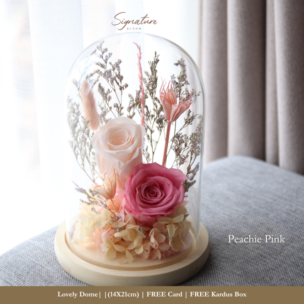 Jual (SignatureBloom) Lovely Preserved Flower Dome | Bunga Abadi Gift ...
