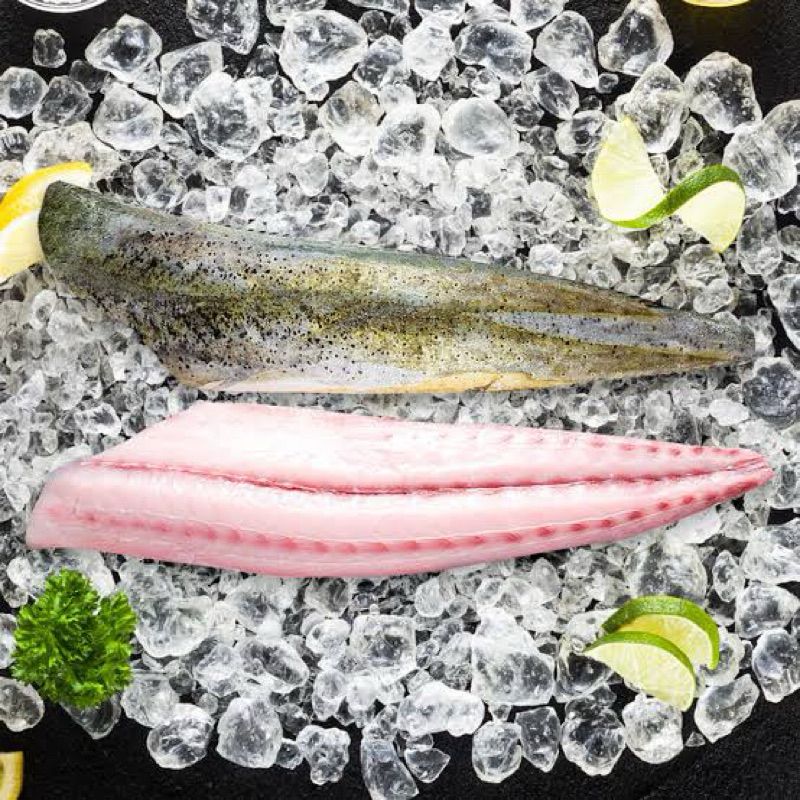 Jual Mahi-mahi Fillet Fresh - Golden Bali Fish Market | Shopee Indonesia