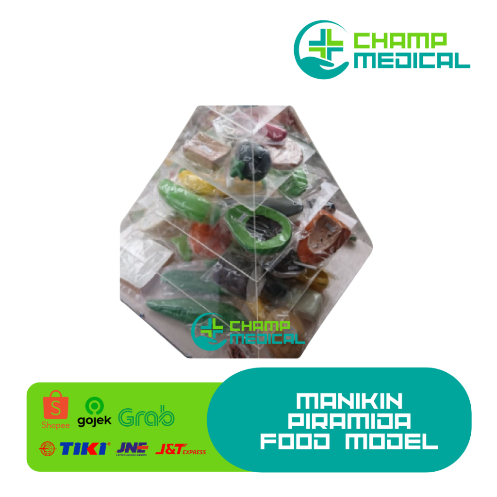 Jual Manikin Piramida Food Model 50 Item / Food Model Piramida / 4 ...