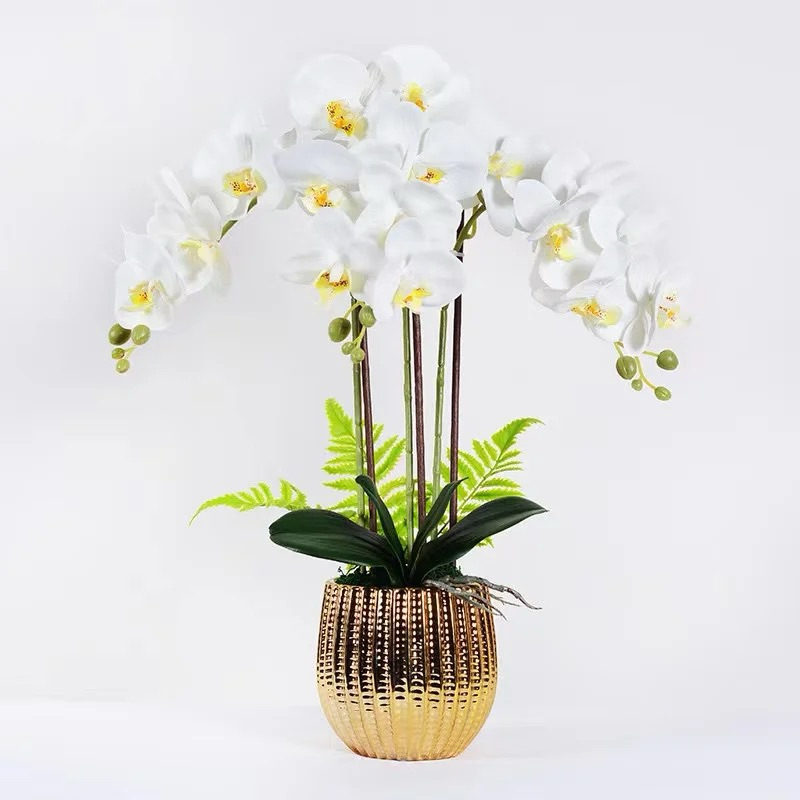 Jual BUNGA ANGGREK JUMBO CABANG 3 VAS LABU KRAMIK TINGGI GOLD | Shopee ...