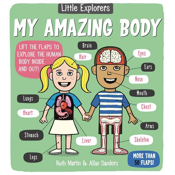 Jual Gramedia Batam - Little Explorers: My Amazing Body | Shopee Indonesia
