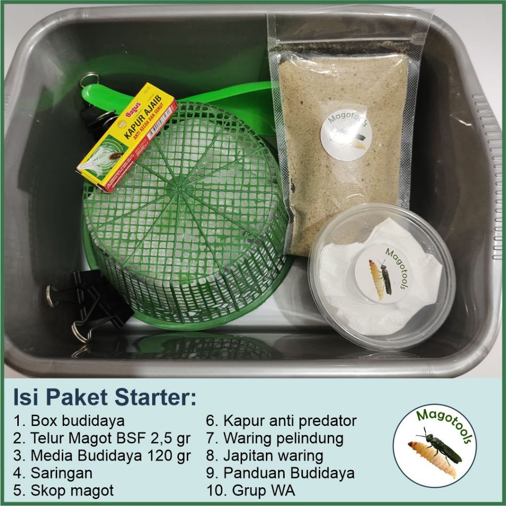 Jual Budidaya Magot Paket Lengkap Skala Rumahan Lalat BSF Starter ...