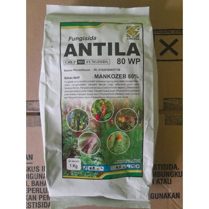 Jual ANTILA 80 WP 1 KG | Shopee Indonesia