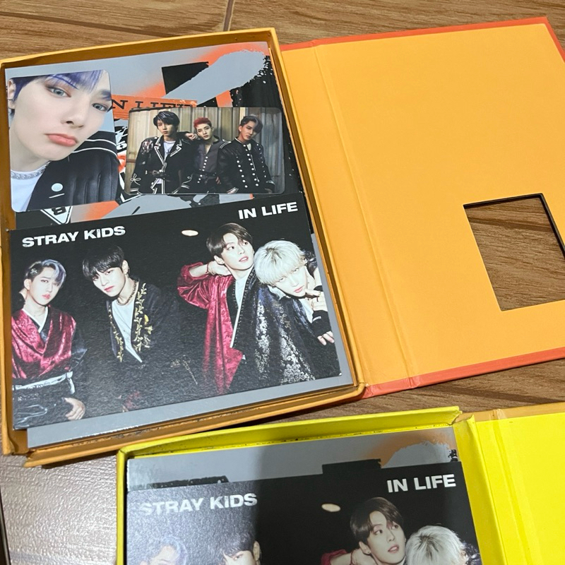 Jual Stray Kids - In Life Damage Album | Shopee Indonesia