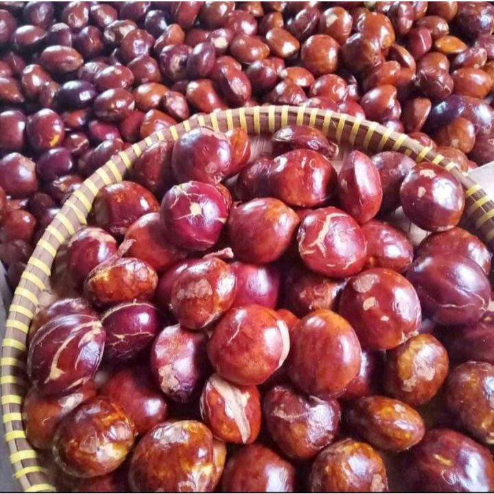 Jual Jengkol Super 500 gr | Shopee Indonesia