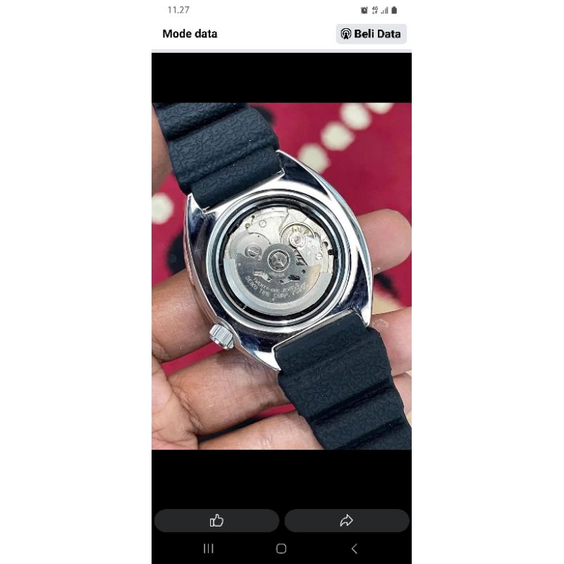 Jual saiko turtle | Shopee Indonesia