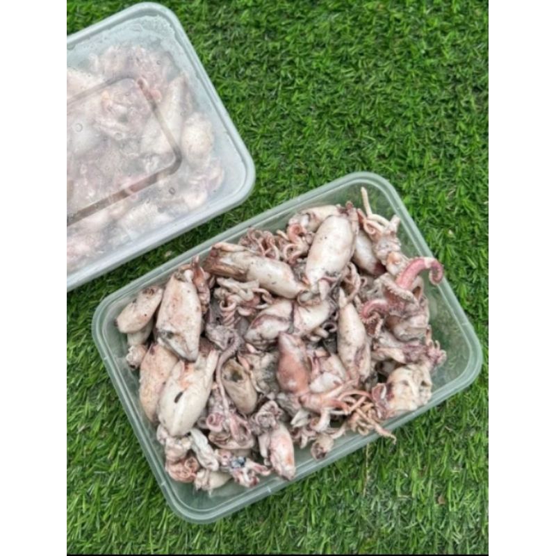 Jual INSTAN Cumi asin fresh 250 gr/Box | Shopee Indonesia