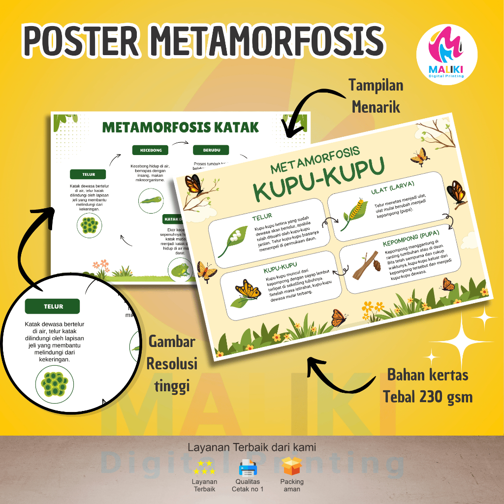 Jual Poster Edukasi Metamorfosis Pada Hewan | Shopee Indonesia