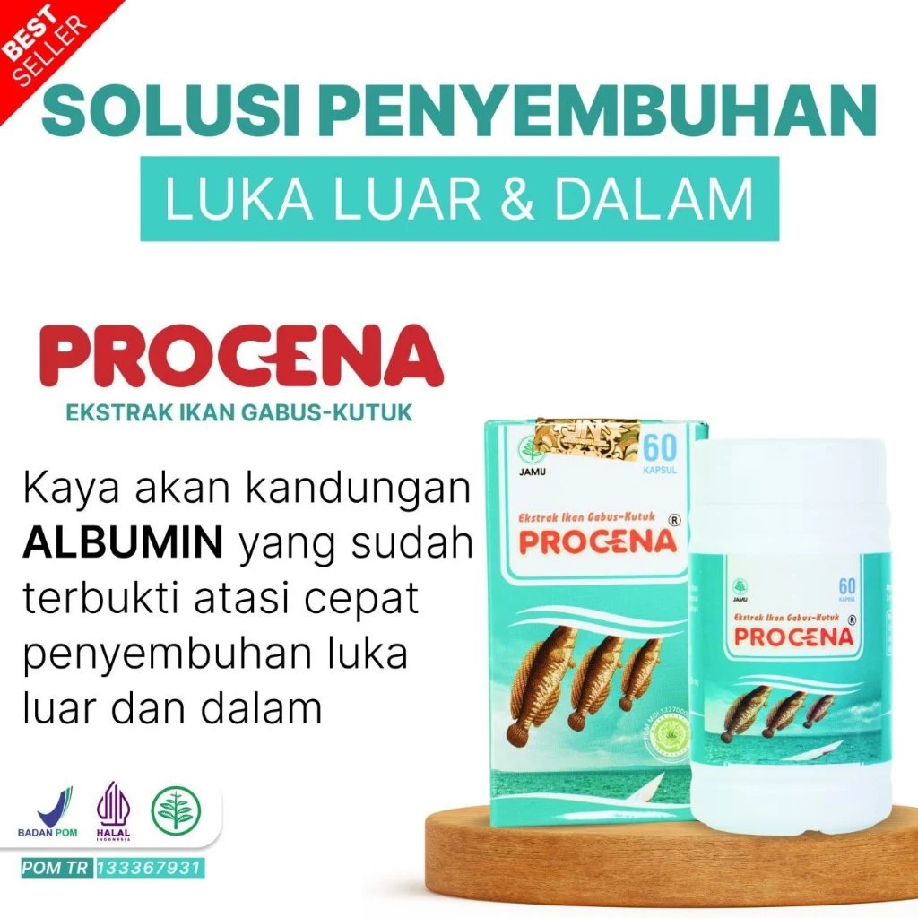 Jual Procena Kapsul Ekstrak Ikan Gabus Premium Original Isi 60 Kapsul ...