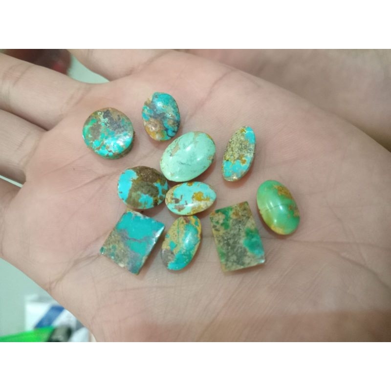Jual natural,pirus persia | Shopee Indonesia