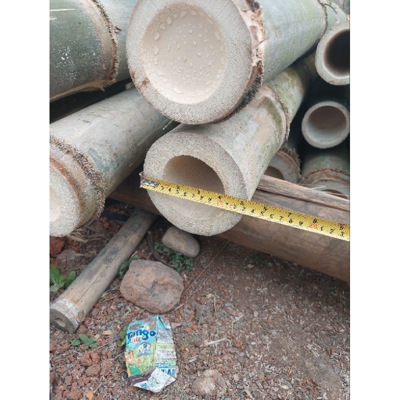 Jual Bambu Petung Bulat Utuh Bahan Layang2 Panjang 1 Meter Ajir ...