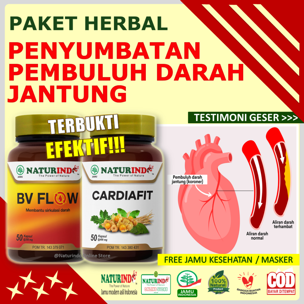 Jual Obat Penghancur Plak Penyumbatan Pembuluh darah Jantung Pembersih ...