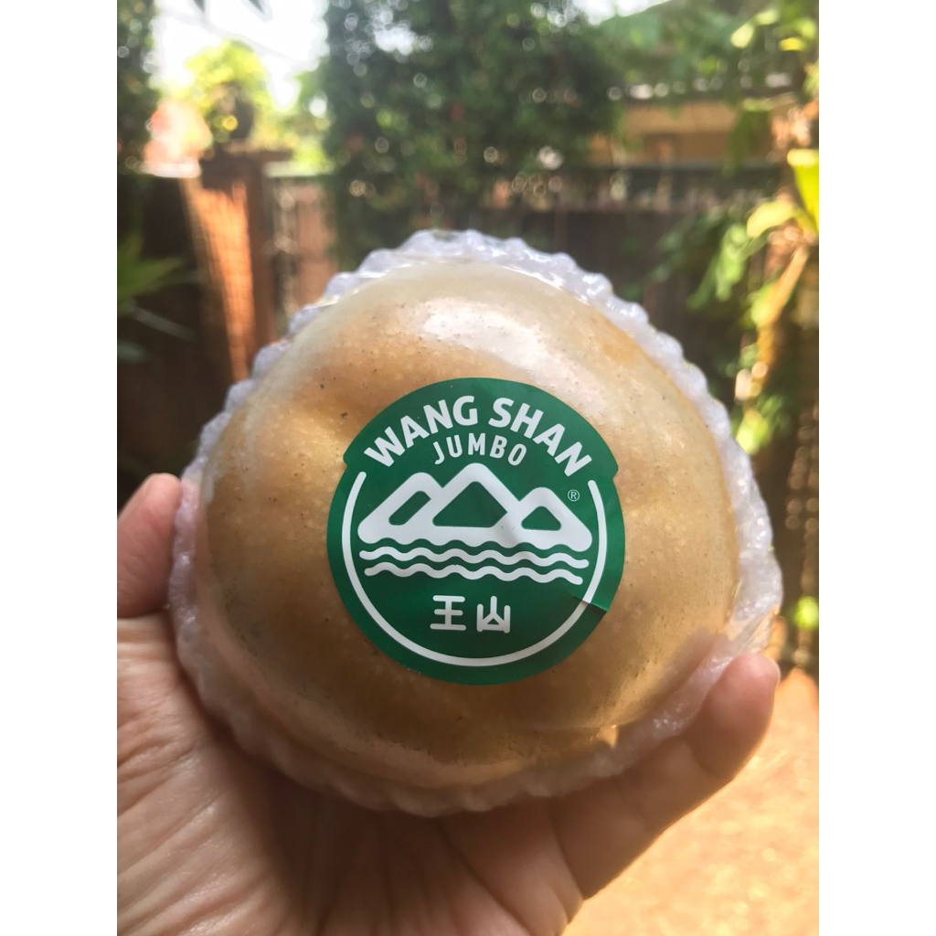 Jual Pear Singo Korea Buah Pir Import Buah Segar | Shopee Indonesia