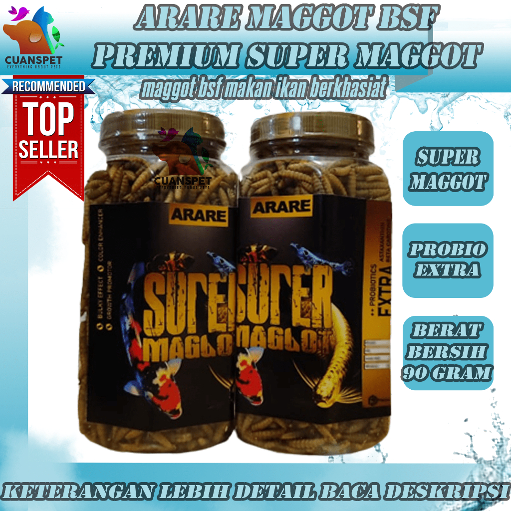 Jual ARARE super maggot 100g magot series KECIL BSF larva kering pakan ...