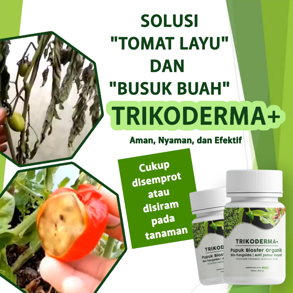 Jual Trikoderma Fungsida beli 3 gratis 1 Tricoderma Plus Pupuk Biosfer ...