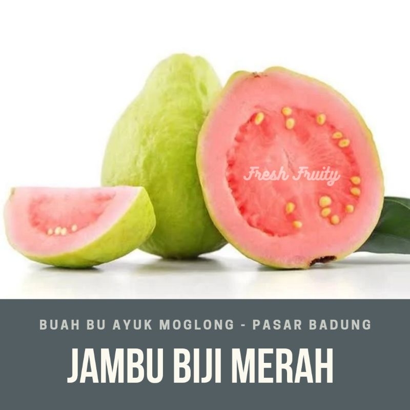 Jual jambu biji merah guava | Shopee Indonesia