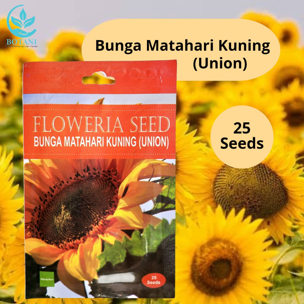 Jual Benih bunga matahari kuning (floweria seed) | Shopee Indonesia
