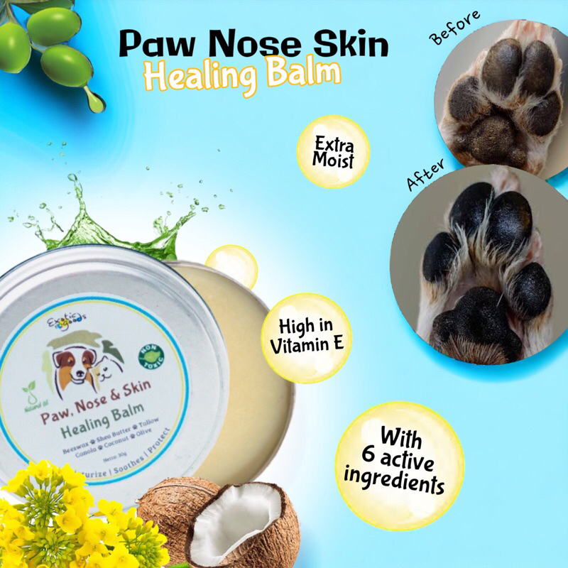 Jual PAW NOSE SKIN HEALING BALM KRIM PELEMBAB TAPAK ANJING KUCING PET ...