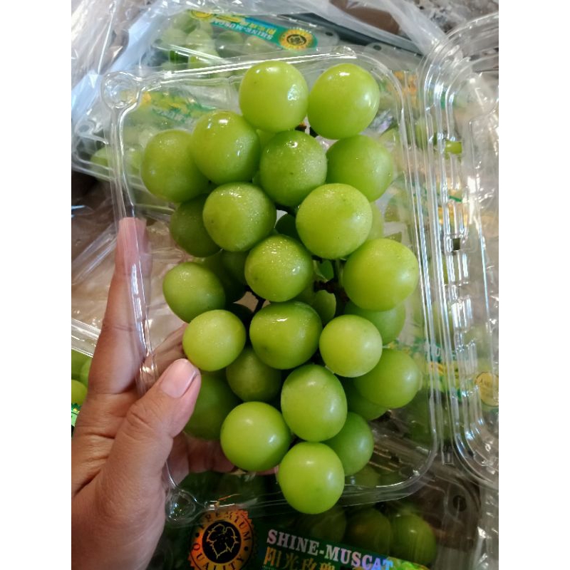 Jual Anggur Shine Muscat pack | Shopee Indonesia