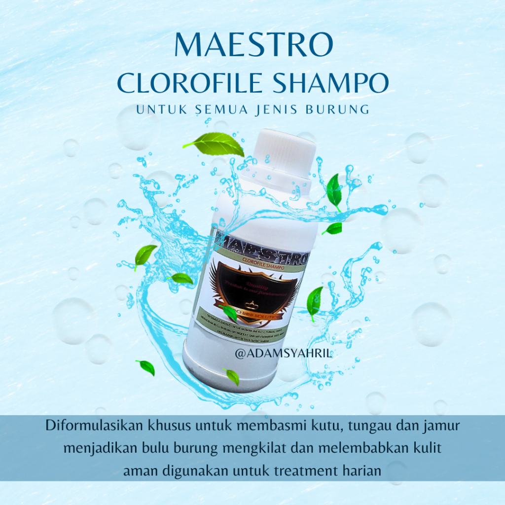 Jual MAESTRO CHLOROFILE SHAMPO (Shampo khusus untuk burung) | Shopee ...