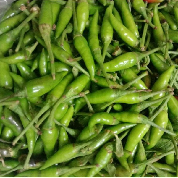 Jual Cabe / Cabai rawit ijo / hijau pedas 250gram | Shopee Indonesia