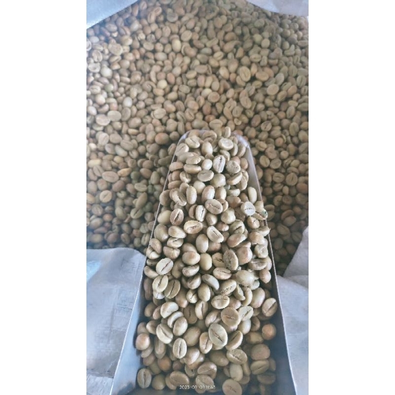 Jual GREEN BEAN Robusta Temanggung 1 kg | Shopee Indonesia
