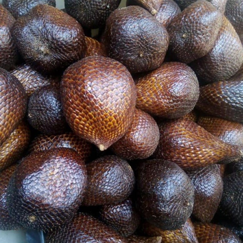 Jual SALAK PONDOH PREMIUM 1 KG | SALAK PONDOH PREMIUM GRADE AA 1 KG ...