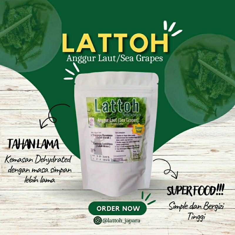 Jual anggur Laut umibudo latoh lat lawi lawi | Shopee Indonesia