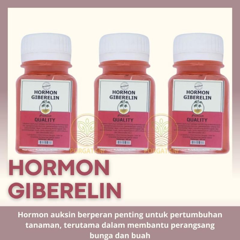 Jual Hormon Giberelin Super Ampuh Membantu Mempercepat Perkecambahan ...
