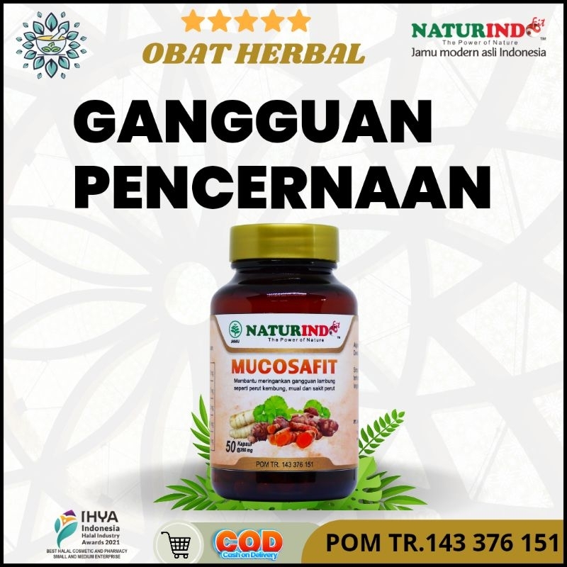 Jual Obat Gangguan Pencernaan Perut Sebah Detox Detoks Usus Kotor ...