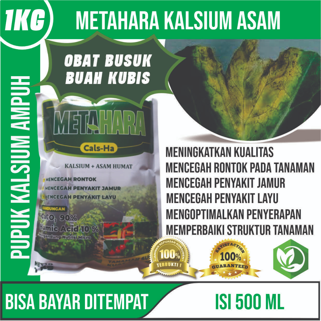 Jual Pupuk Organik Mengatasi Akar Gada pada Kubis, Cabai, Sawi, Brokoli ...