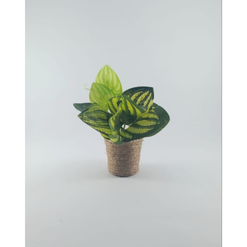 Jual Artificial Tanaman Hijau Pot Tali Rami Goni Mini Daun Rumput Bunga ...