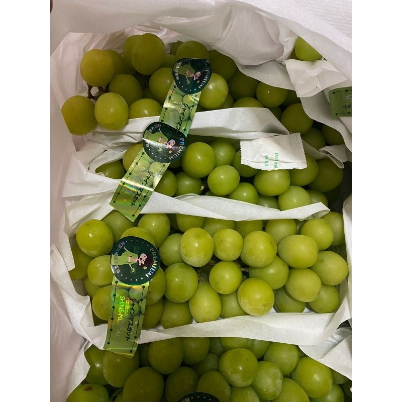 Jual anggur muscat kiloan|anggur muscat hijau|anggur muscat|non biji ...