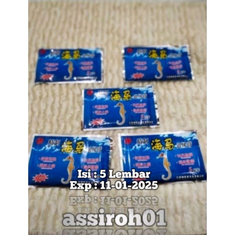 Jual KOYO KUDA LAUT UNTUK PEGAL" REUMATIK PANAS (ISI 5 LEMBAR) | Shopee ...
